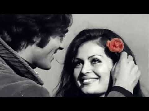 selda bağcan - ayrılık | 1 saatlik versiyon