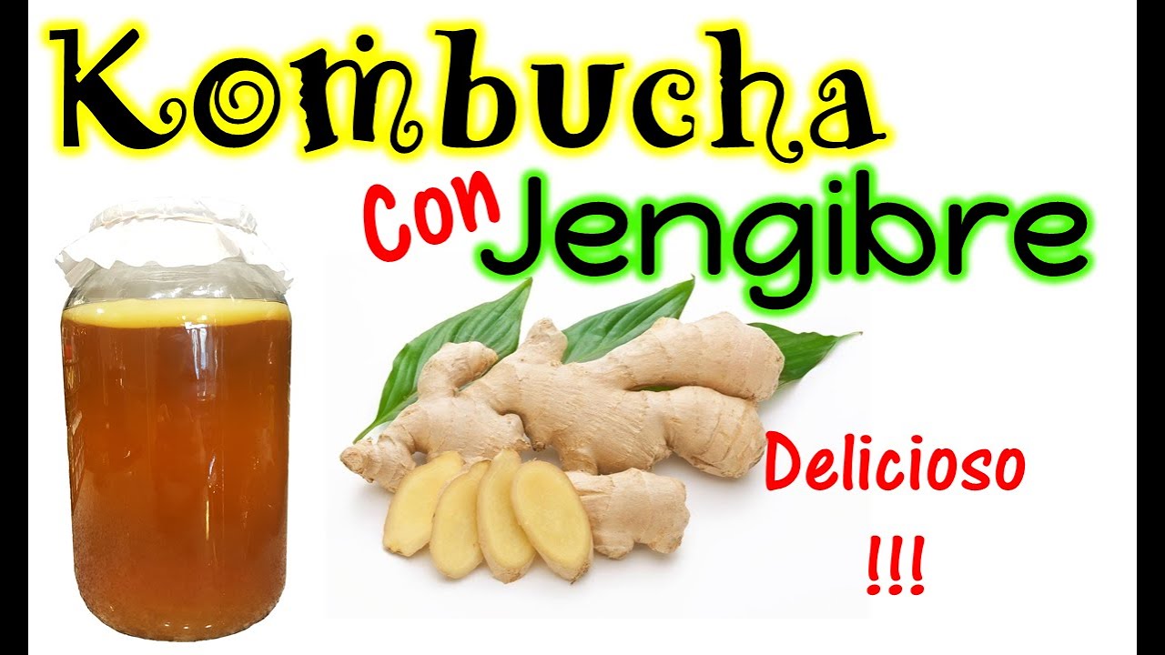 KOMBUCHA CON JENGIBRE | Poquito de Todo - YouTube