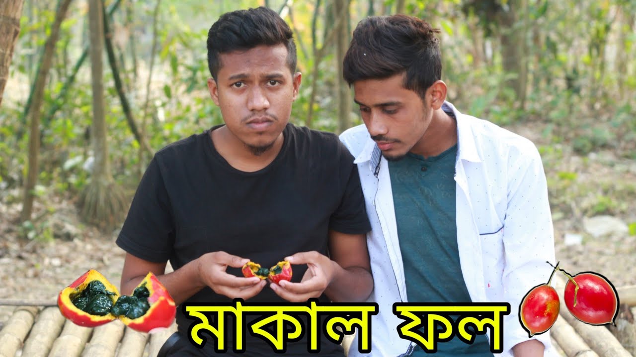 মাকাল ফল | Makal Fol - শিক্ষনীয় ভিডিও 2020 Episode 12 | Dhori Buzz ...