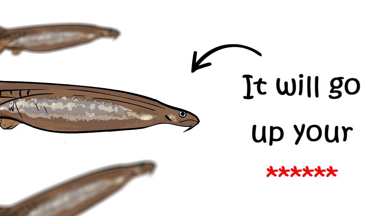 Meet The Most Disturbing Fish.. - YouTube