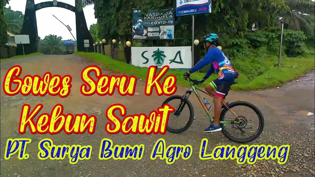 Gowes Seru Ke Kebun Sawit PT. Surya Bumi Agro Langgeng Tais #gowes #mtb #mountainbike #gowesseru ...
