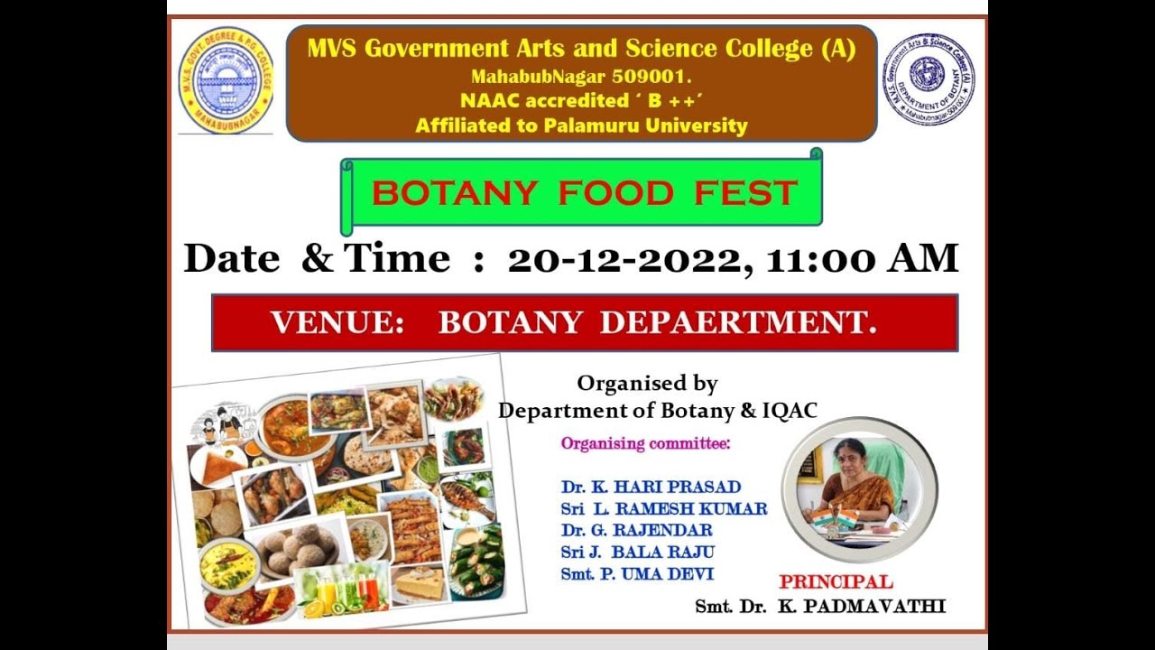 Botany Food Festival @ MVS#20122022 - YouTube