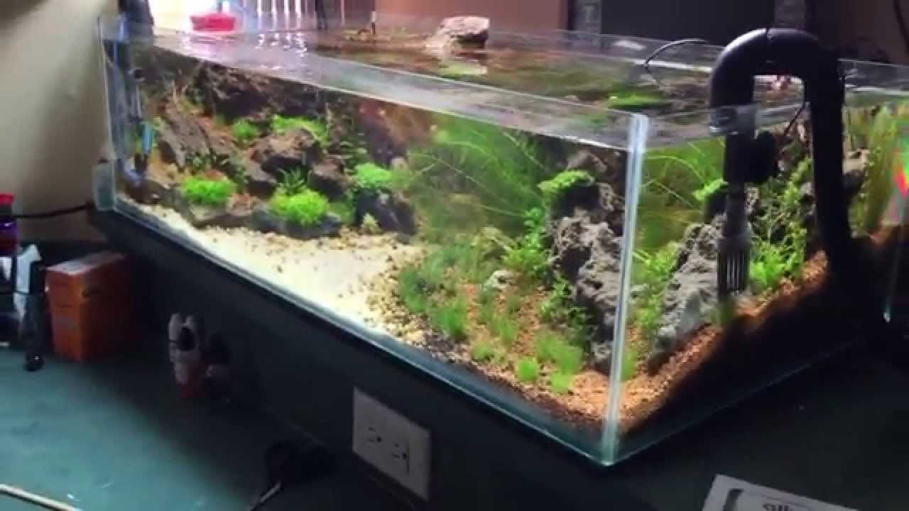 Aquascape E-Shop