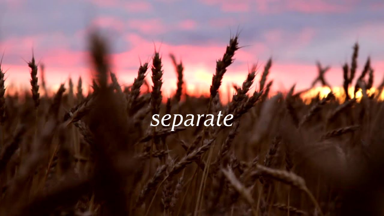 Separate - YouTube Music