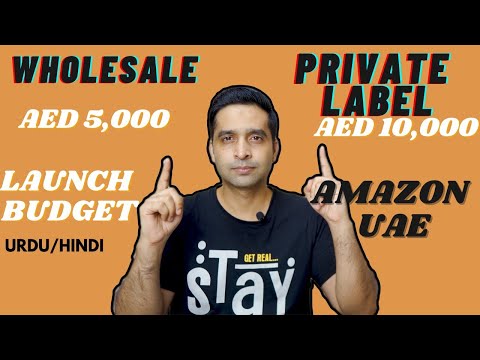 Amazon UAE FBA Wholesale Vs Private Label 2021| Launch Budget