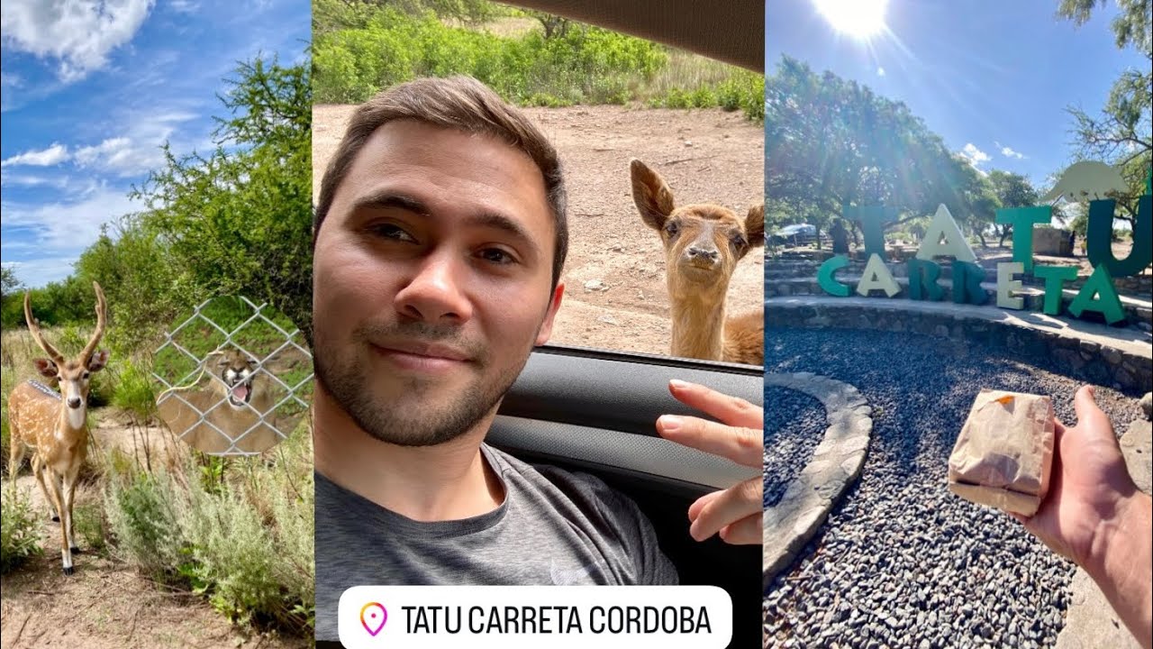Reserva TATU CARRETA -Cordoba,Casa Grande 🐆🦌🦜 ( los alimentamos y se ...