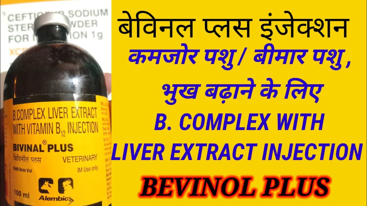 B COMPLEX WITH LIVER EXTRACT INJECTION VETERINARY #ANIMAL_MEDICINE # ...