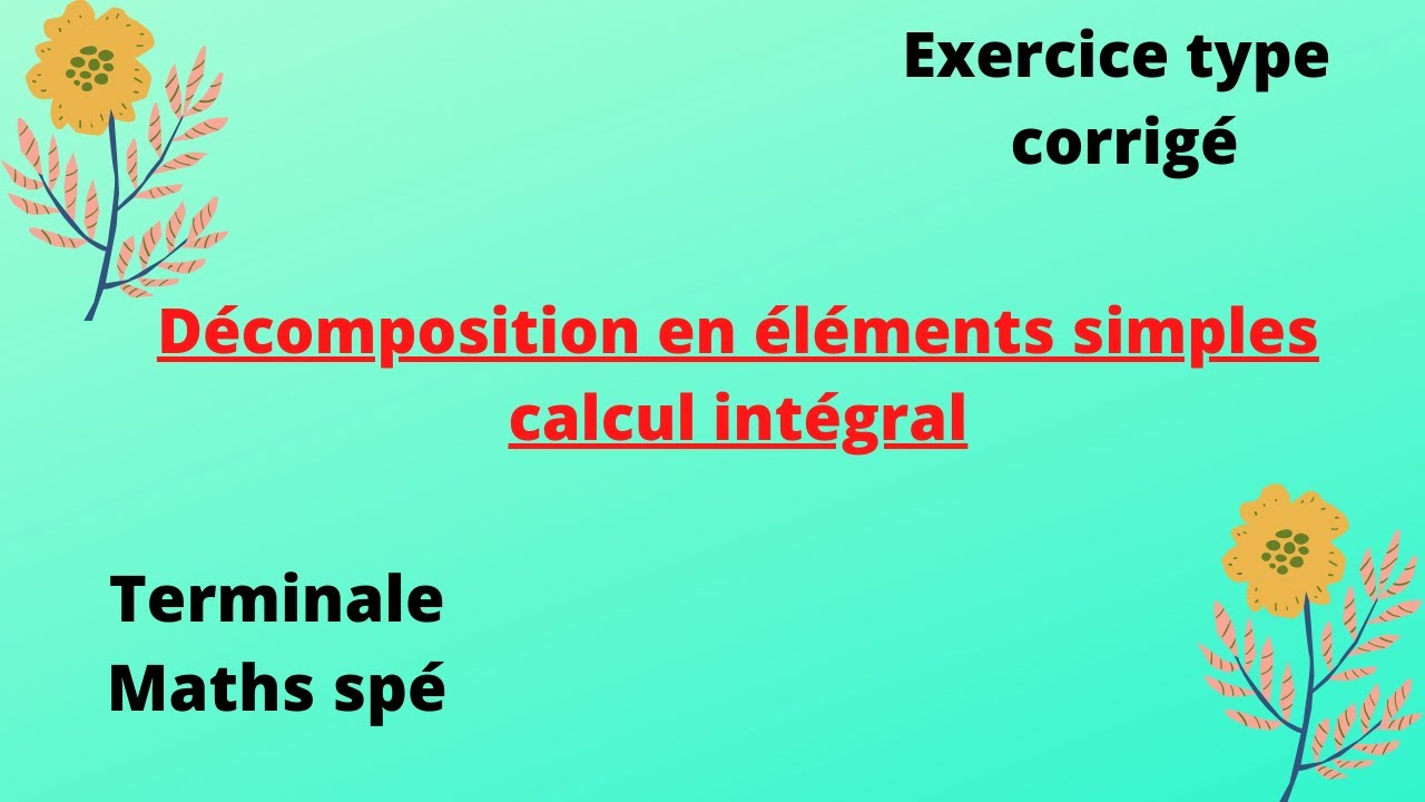 Décomposition en éléments simples exercice - YouTube