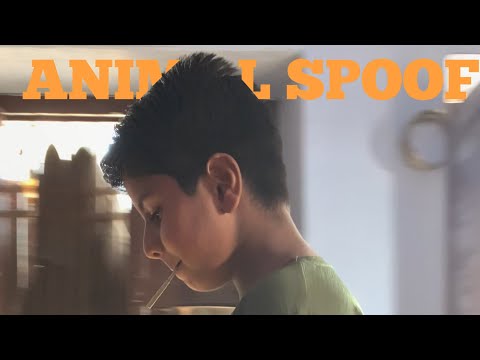 Animal Spoof - YouTube