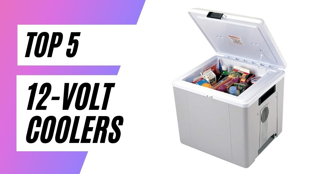Top 5: Best 12 Volt Coolers Review 2021 - YouTube