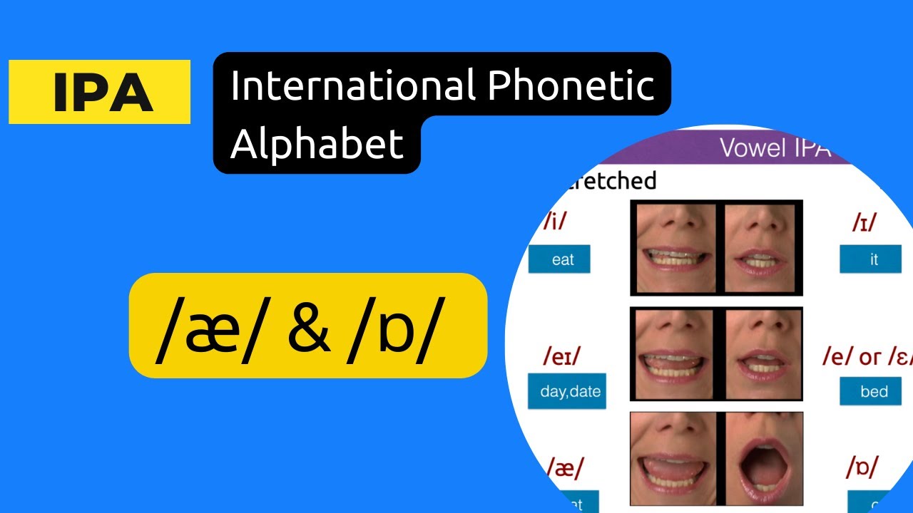 International Phonetic Alphabet: IPA /æ/ and /ɒ/ | Hat and Hot - YouTube