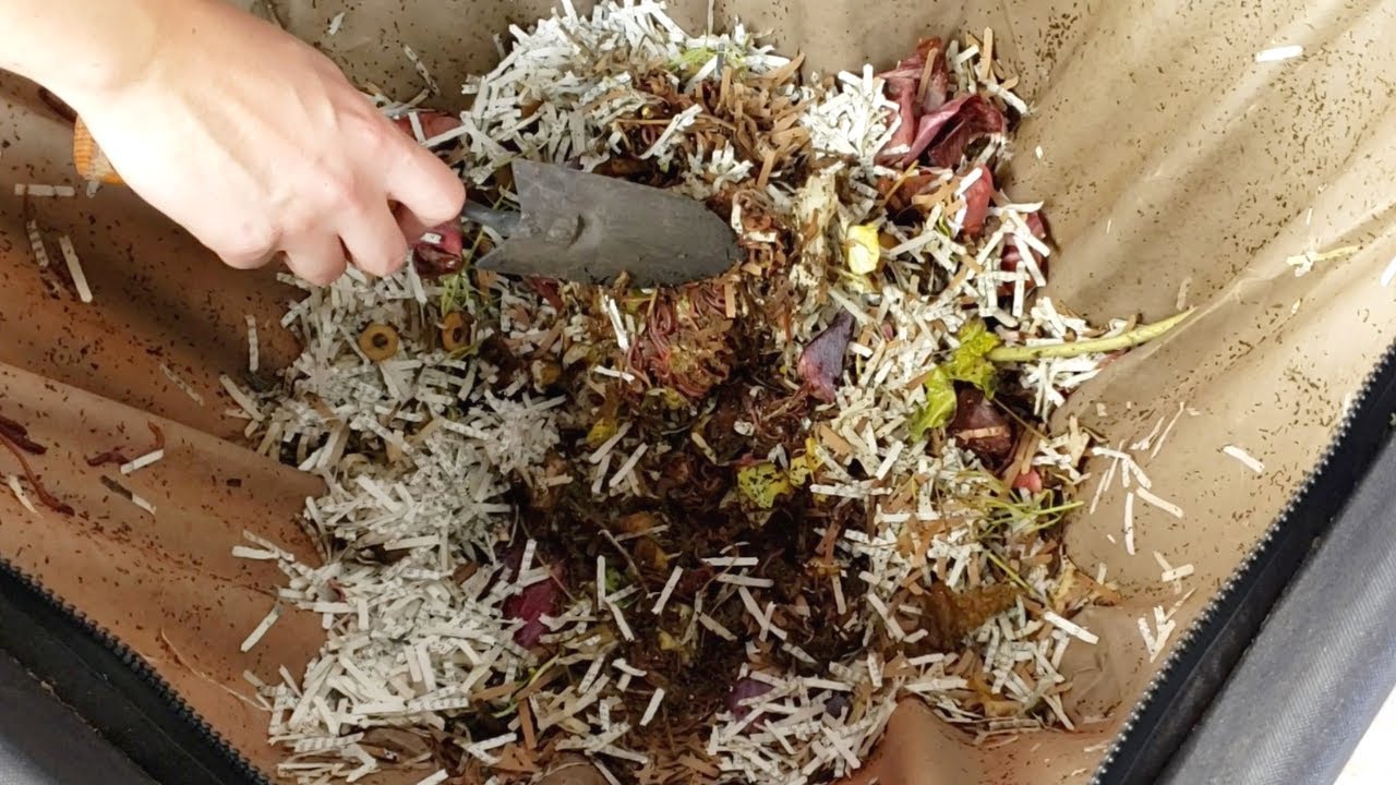 EASIEST Worm Compost EVER? Continuous Flow Worm Bin - YouTube