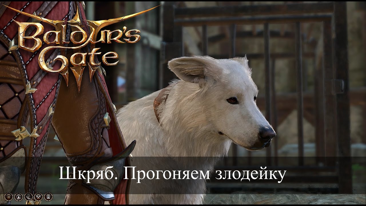 Baldur's Gate 3 Спасение Шкряба от Сердитой Мархийи | Собака курьер ...