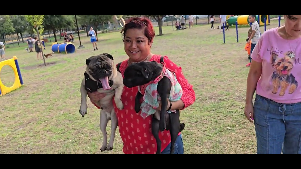 Fiesta de CHELSIE en el Parque Canino en Monterrey, Nuevo León. - YouTube