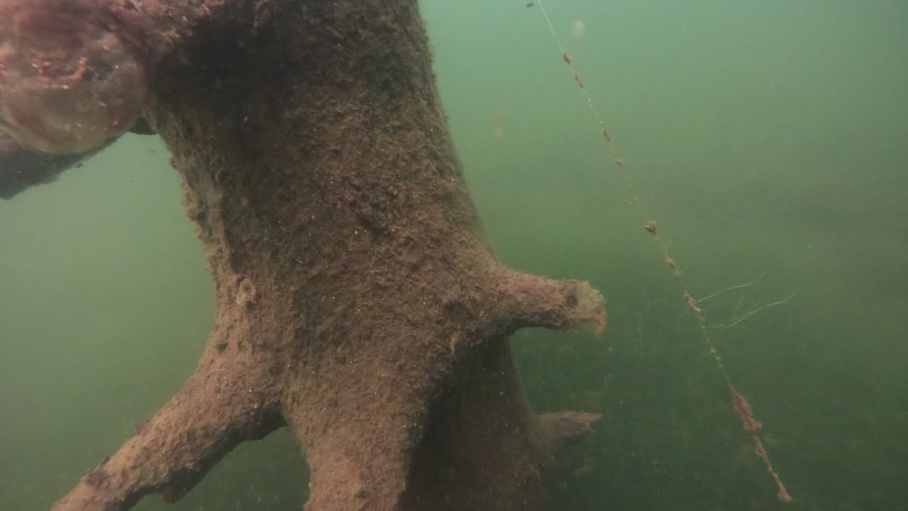 Dive at Little Dan Hole - YouTube