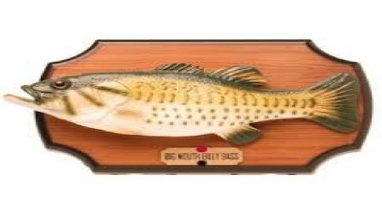 Billy Bass Christmas Inflatable - YouTube