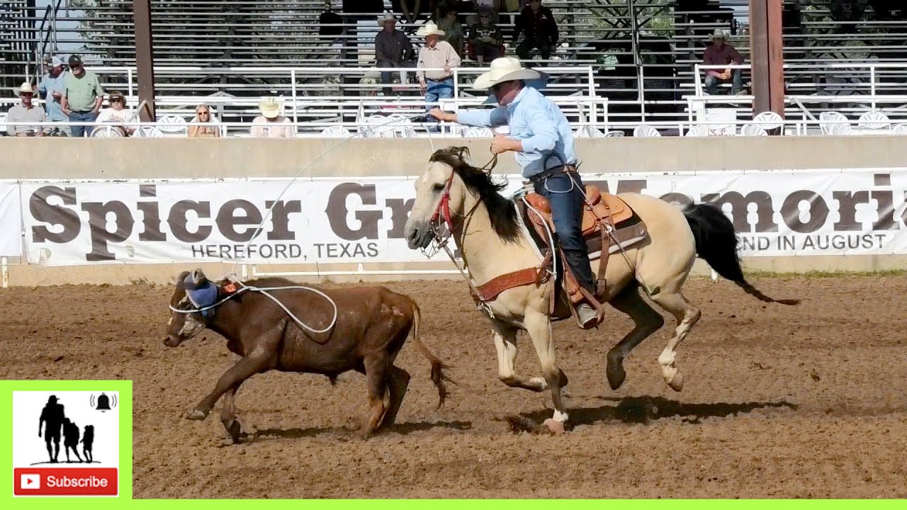 Open Steer Roping 2nd Go Part 1🐂 2024 Spicer Gripp Memorial Roping ...