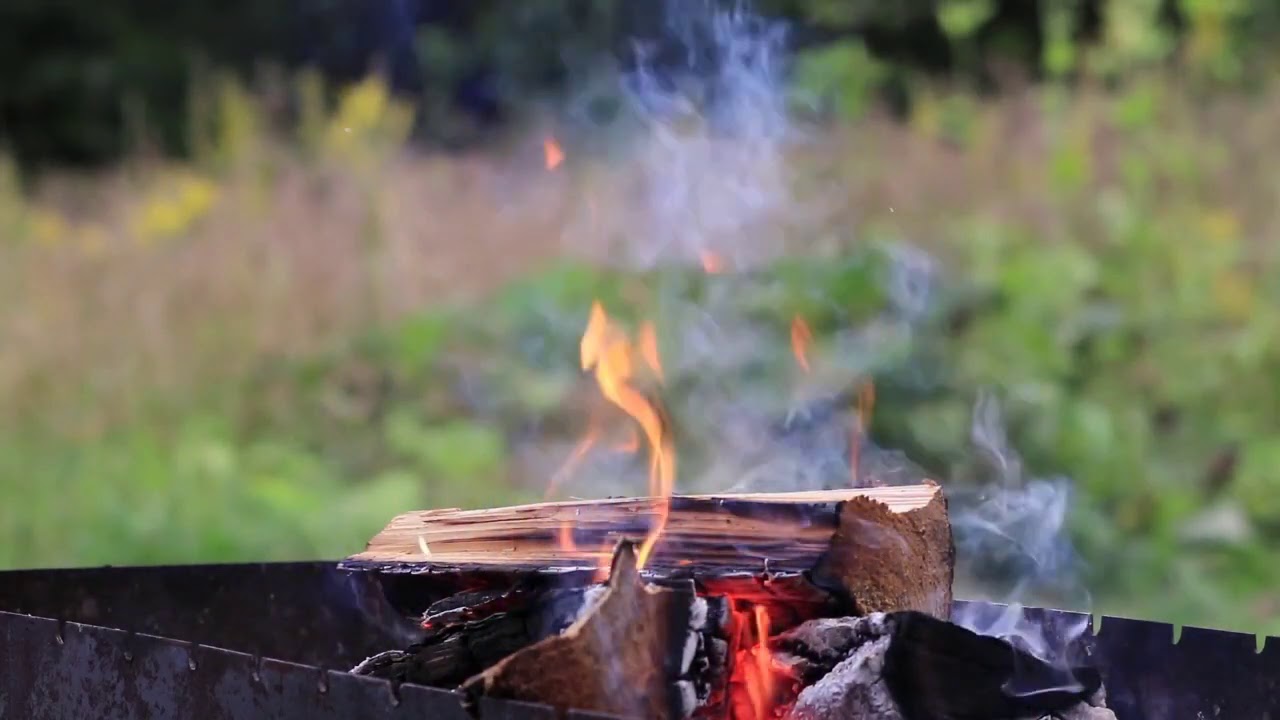 Smoke and ashes, Tracy Chapman, Jenny Daniels, Singer Songwriter Pop ...
