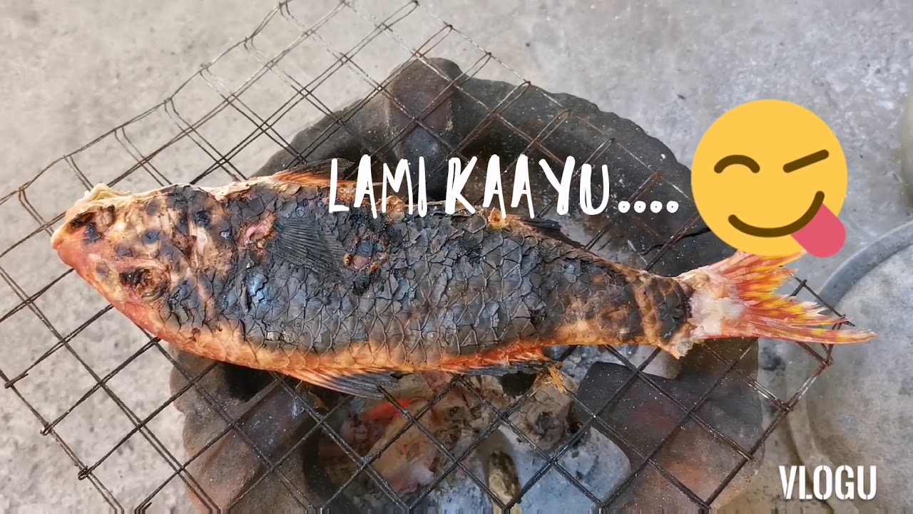 Sinugbang Isda para sa Paniudto. Manga-on ta - YouTube