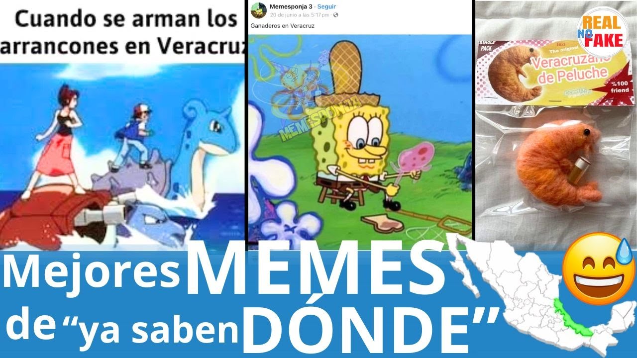 Los mejores MEMES de Veracruz en redes sociales #viral #mexico # ...