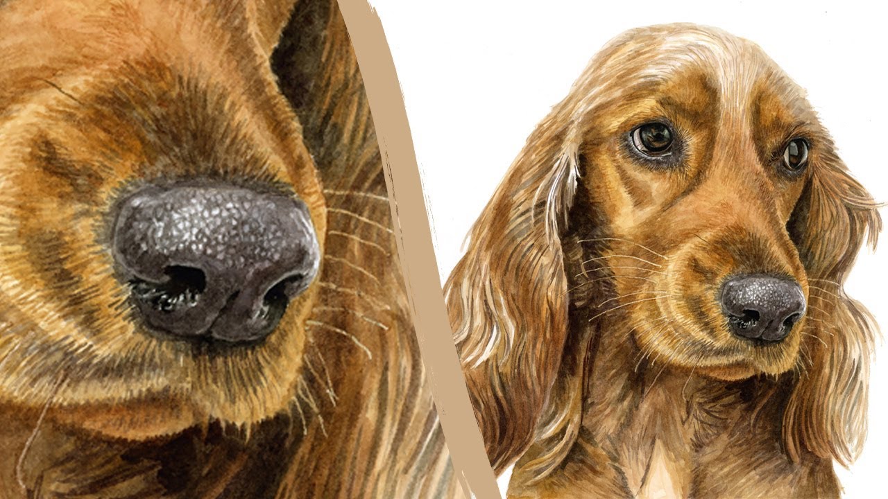 Paint a dog nose step by step - YouTube