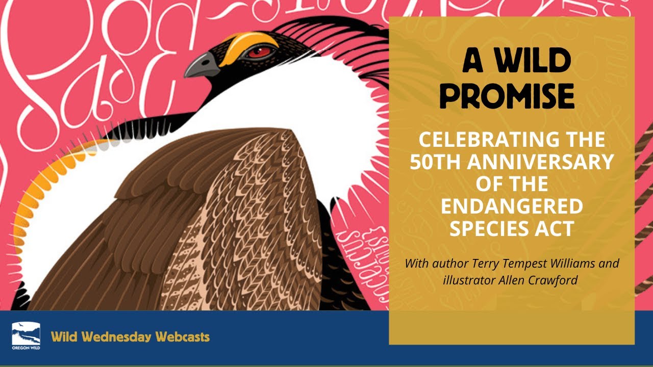 A Wild Promise Webcast - YouTube