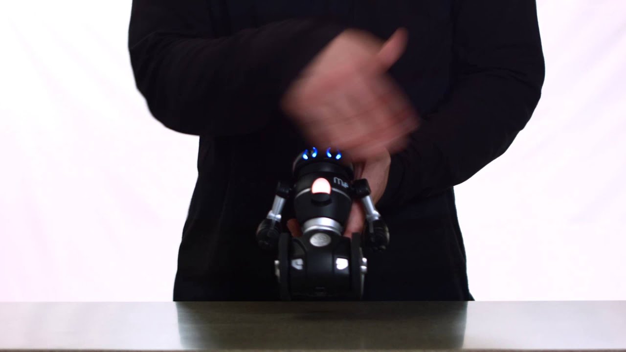 MiP Tutorial 08- Tracking - YouTube