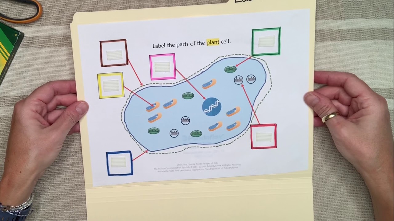 Making a file folder game cells and mitosis - YouTube