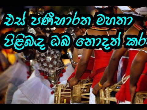එස් පණීභාරත මහතා panibaratha - YouTube
