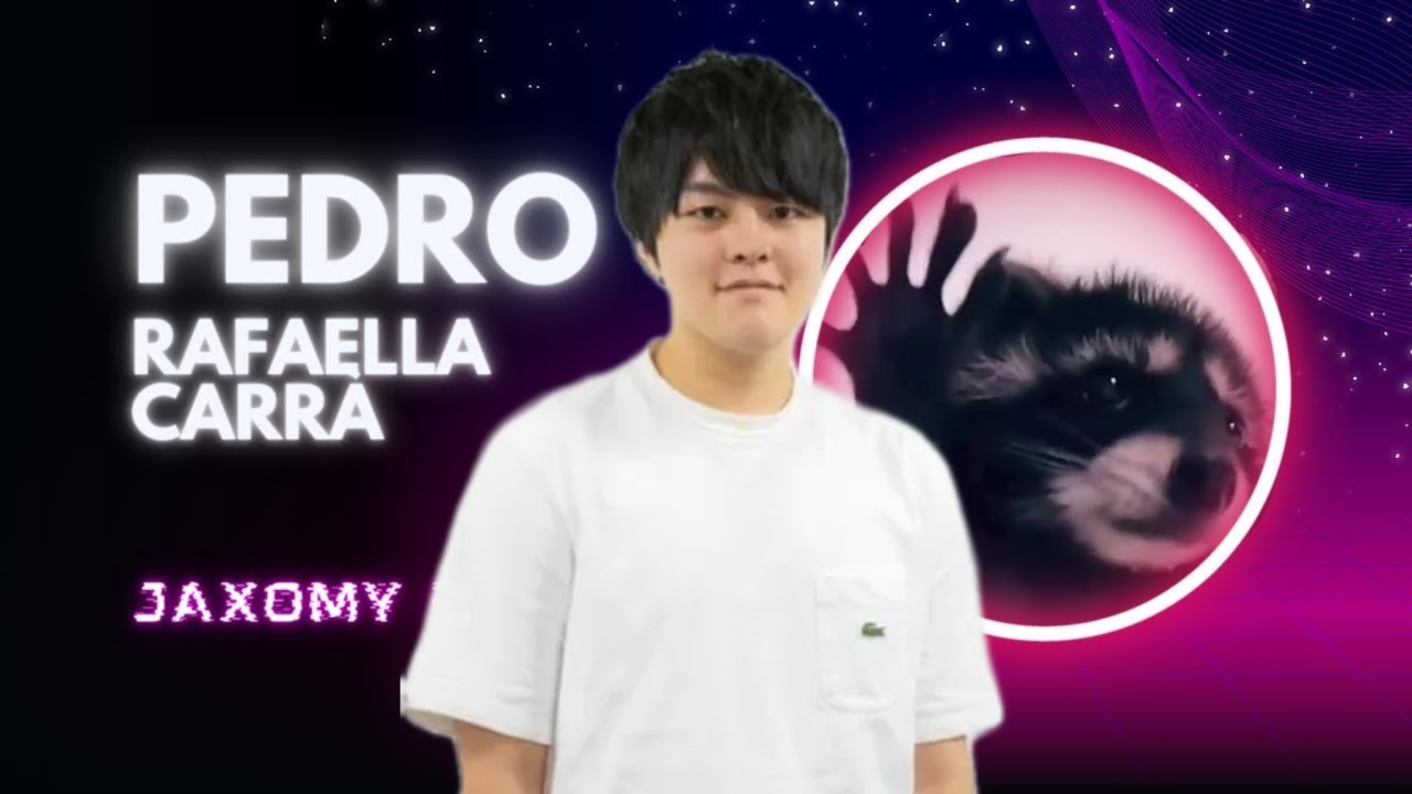 PEDRO RACCOON 2024 NEW SET PROFITABLE PROJECT - YouTube