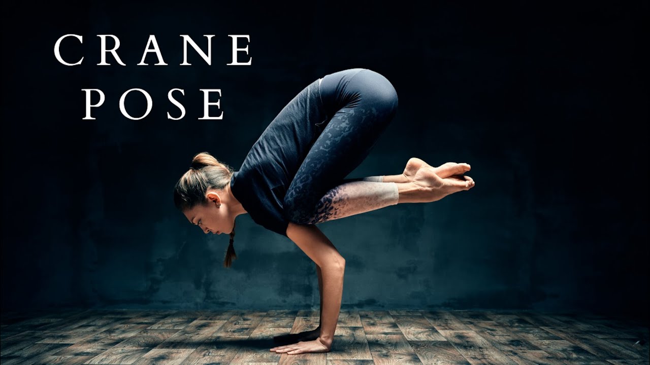 LEARN HOW TO DO CRANE POSE | YOGA FILES | SALLY SWEET LIFE | Yoga ...
