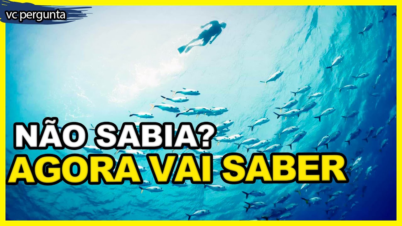 PORQUE A AGUA DO MAR É SALGADA?/ PORQUE O MAR É SALGADO?/ um pouco de ...