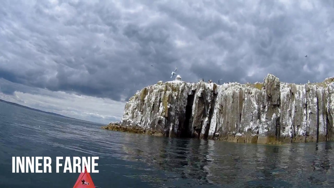 Farne Islands Sea Kayaking - YouTube