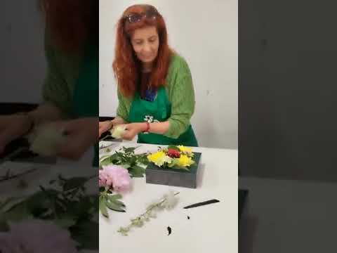 formal cuadrado - YouTube