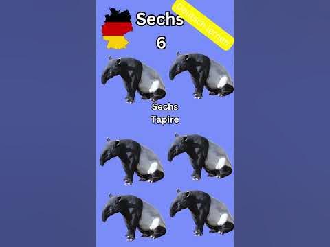 Learning german for beginners: Counting from 1 to 10 Deutsch lernen für ...