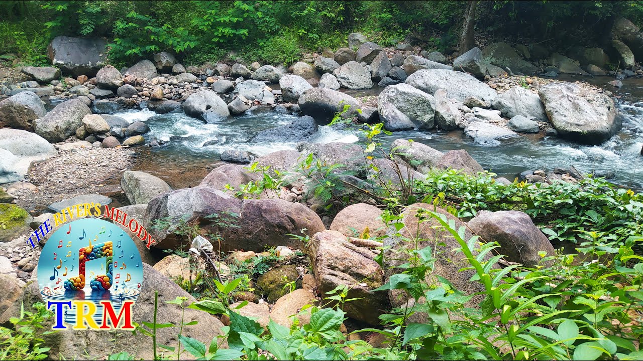 Relaxing Stream River Sounds | Gentle River Sounds Calming Your Mind ...