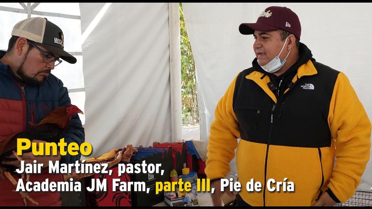 Punteo, Jair Martínez, pastor, Academia JM Farm, parte III, Pie de Cría ...