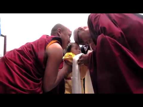 Tenga Rinpoche's Yangsi Rinpoche at Benchen monastery - YouTube