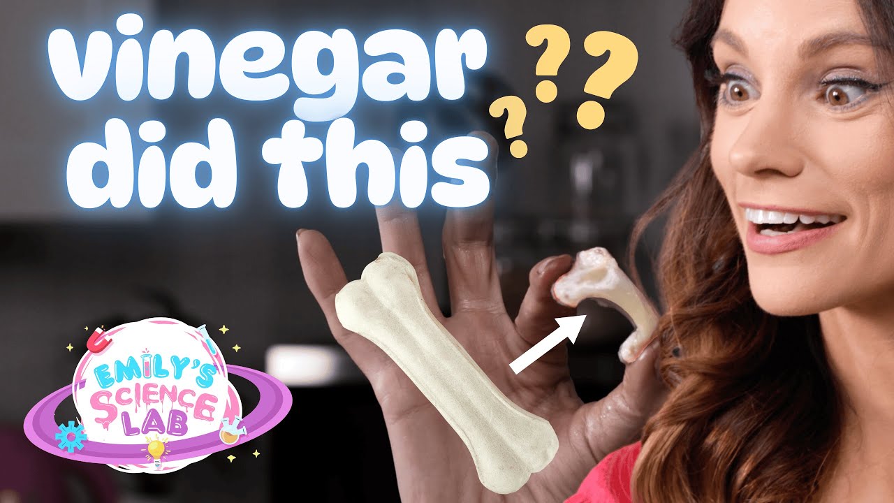 Emily's Science Lab - Rubber Bone - Vinegar Science Experiment - YouTube