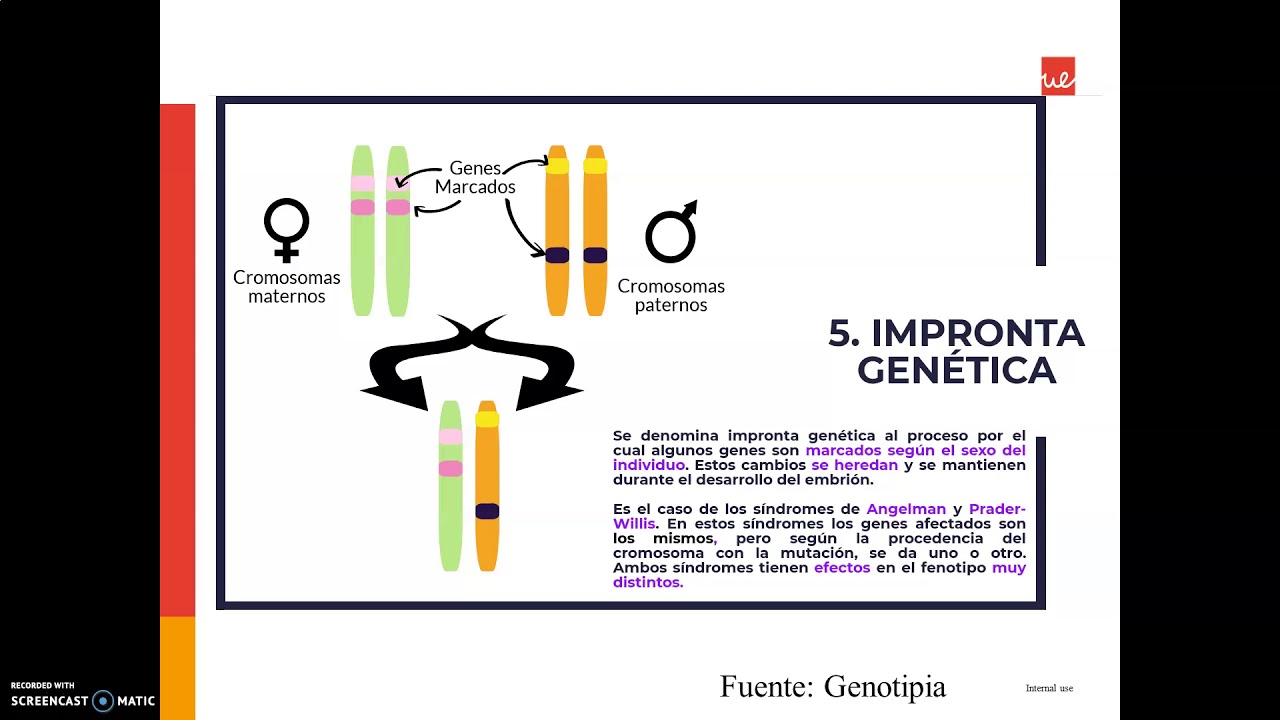 Impronta Genética y otros procesos importantes en Genética Médica - YouTube