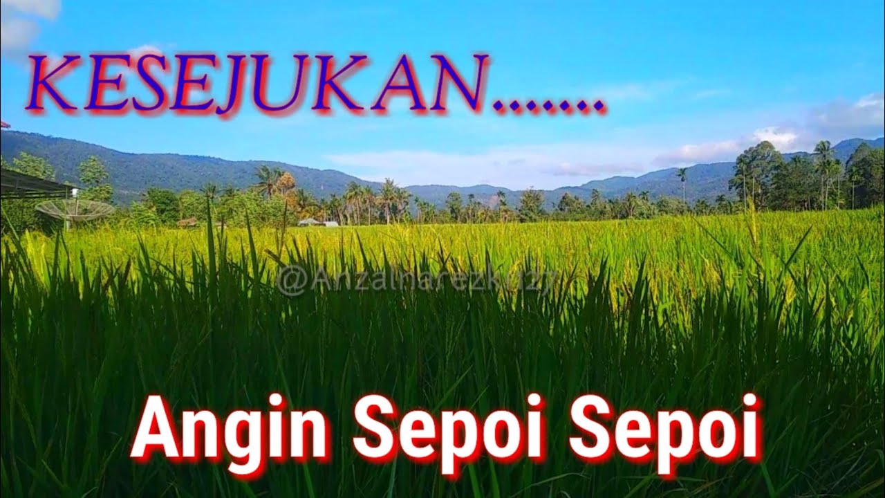 Angin Sepoi-sepoi Sepoi - YouTube