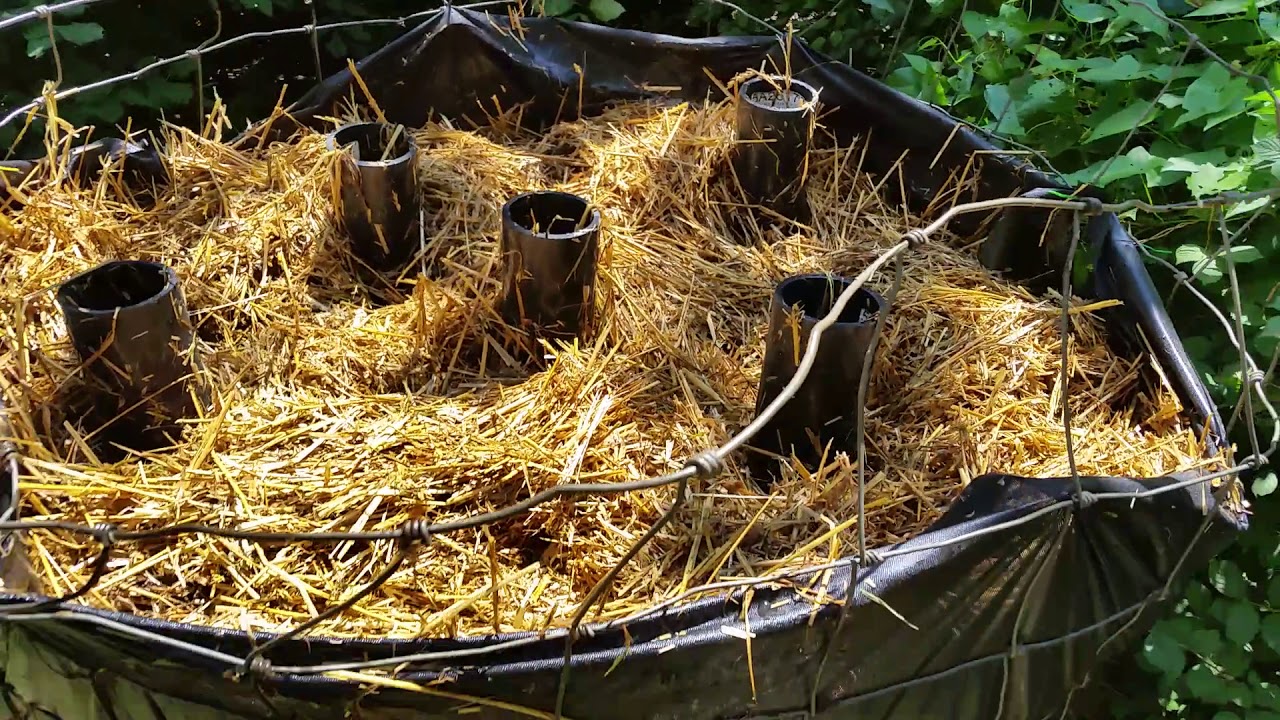 Johnson-Su Bio-reactor Compost Experiment! - YouTube