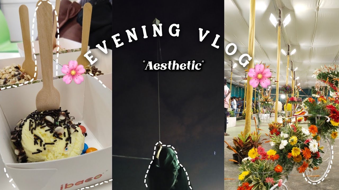A Chill Evening Vlog Karaikal Carnival Tamil YouTube a-chill-evening-vlog-karaikal-carnival-tamil-youtube