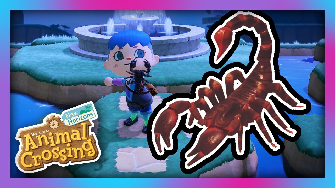 Trying to hunt for scorpions | Animal Crossing NH (11/27/21) - YouTube