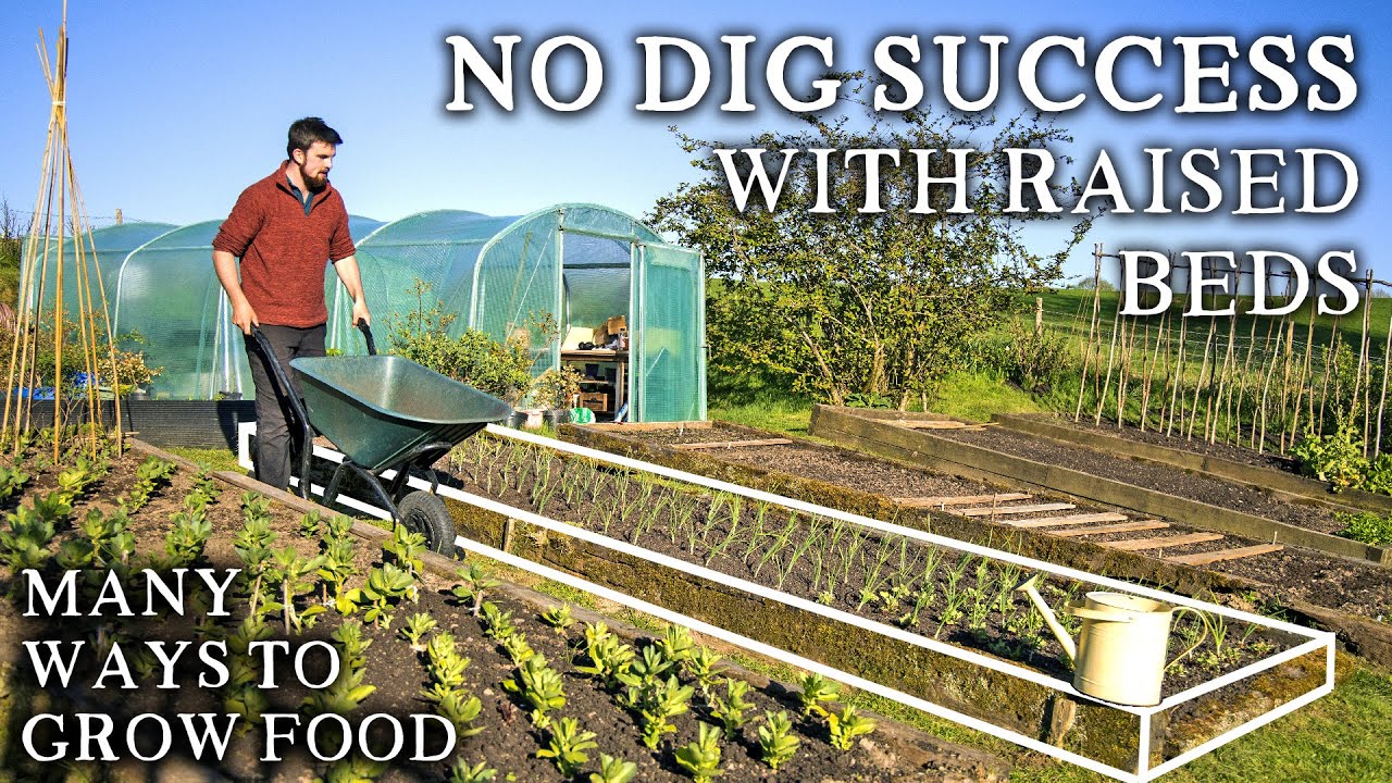 Productive NO DIG Vegetable Gardening in Raised Beds with Sides - YouTube
