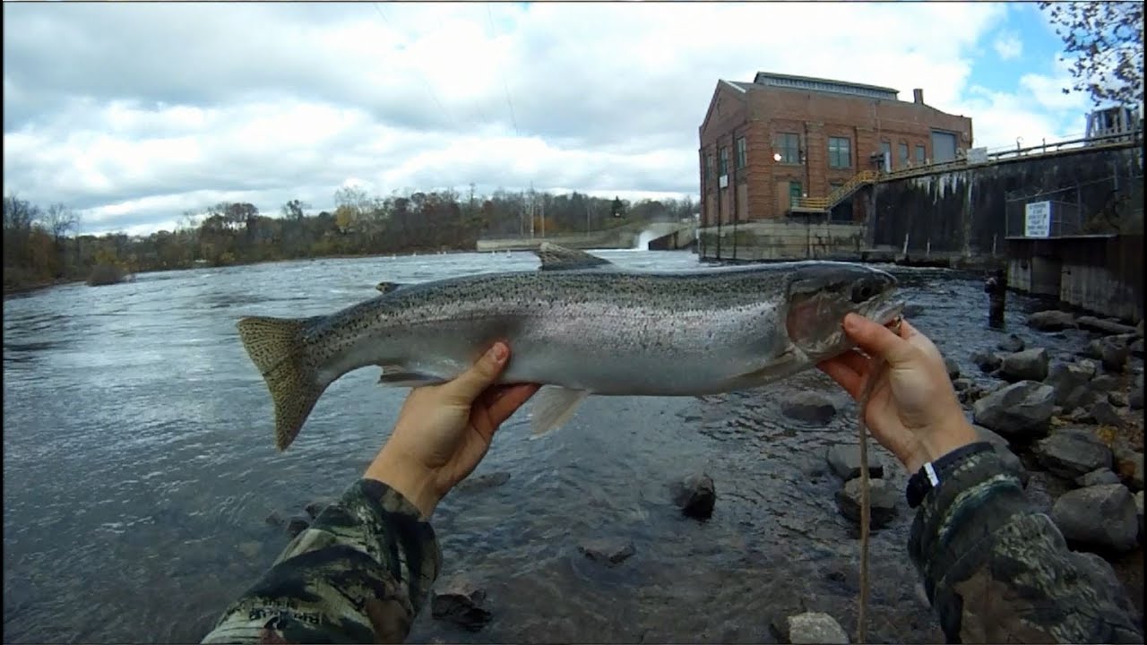 Berrien Springs Fishing 11/10/13 - YouTube