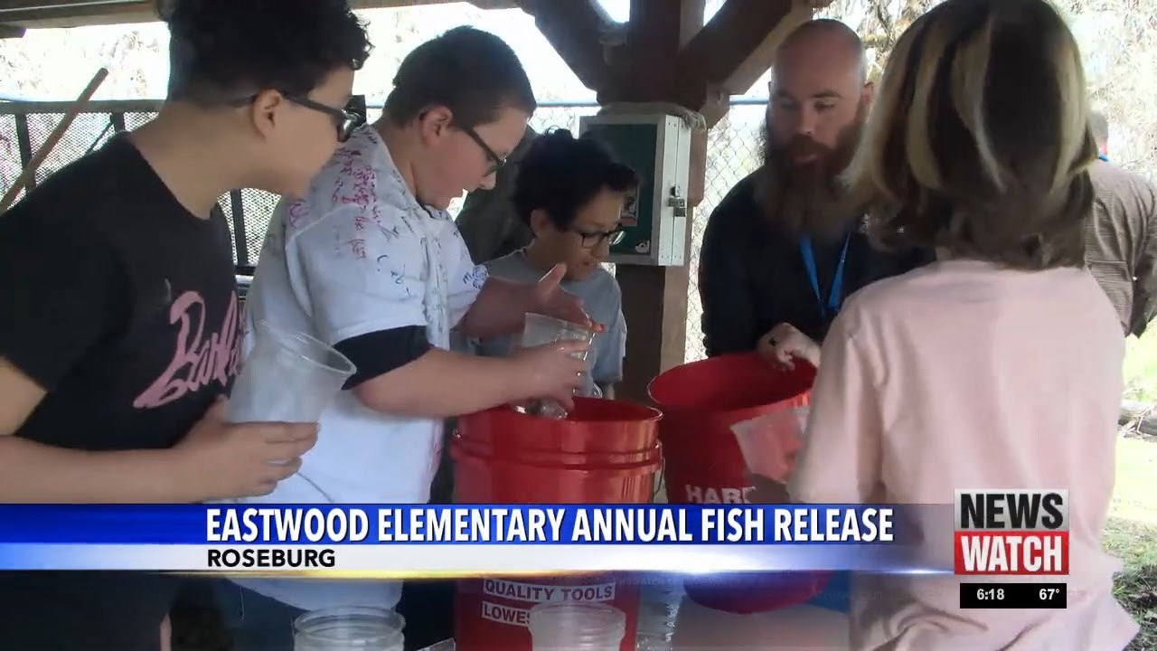 Eastwood Elementary students release 500 fish - YouTube
