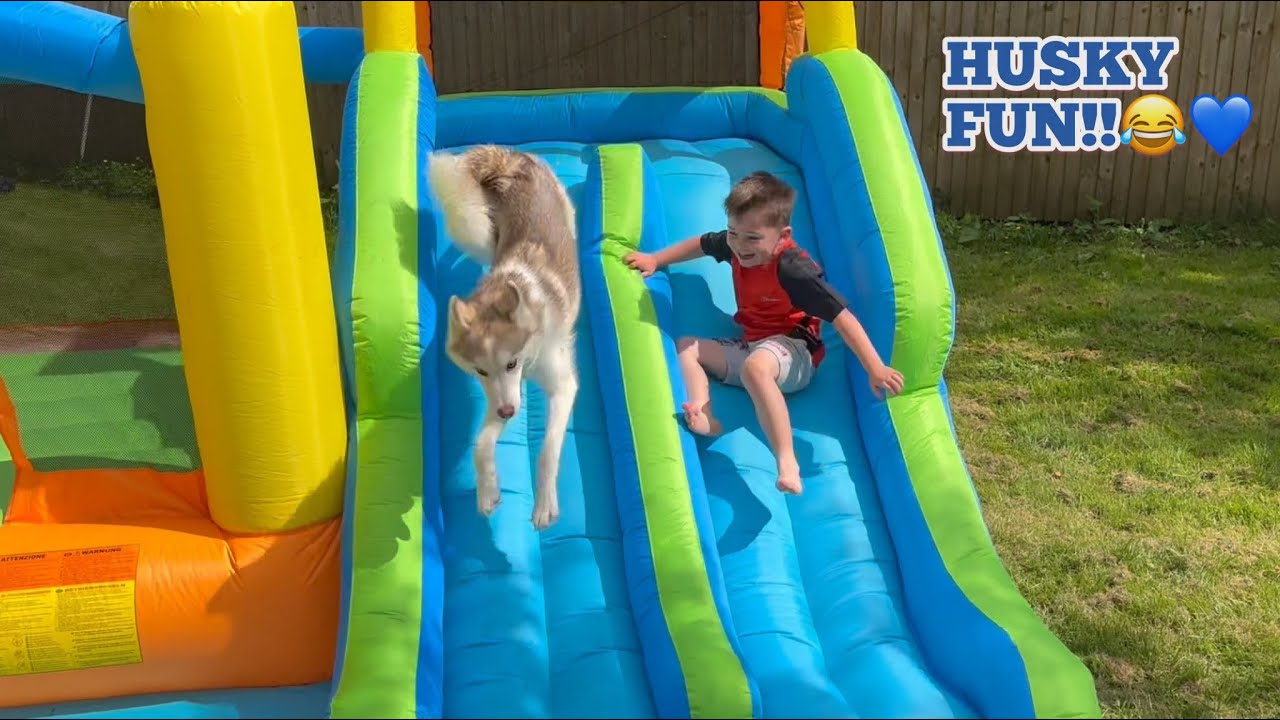 I NEVER SEEN HUMPHREY SO HAPPY!!😭. - YouTube