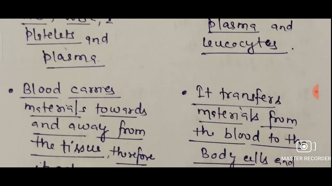 Difference Between BLOOD and LYMPH Class 11 BIOLOGY - YouTube