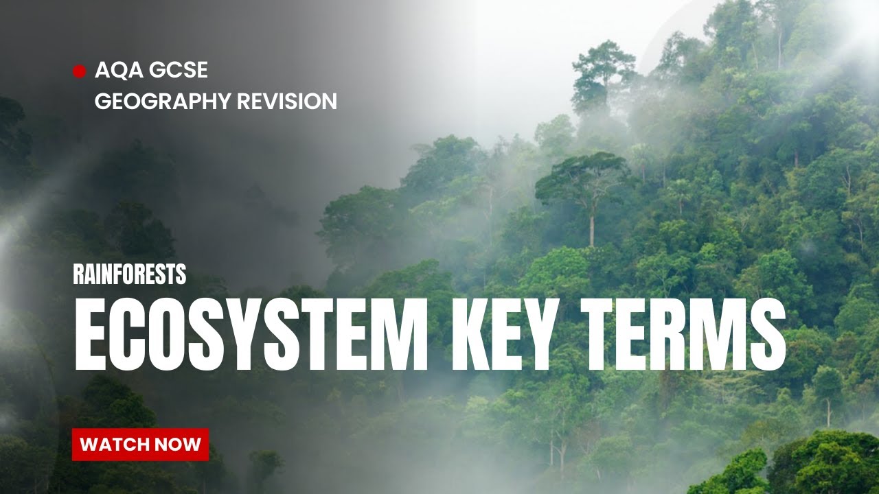 AQA Geography Ecosystems GCSE revision - YouTube